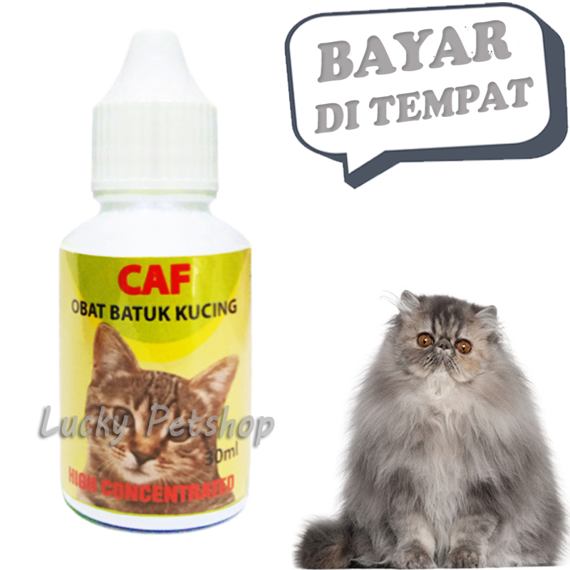 Obat Kucing Batuk Pilek Flu CAF Cat High Concentrated | Lazada Indonesia