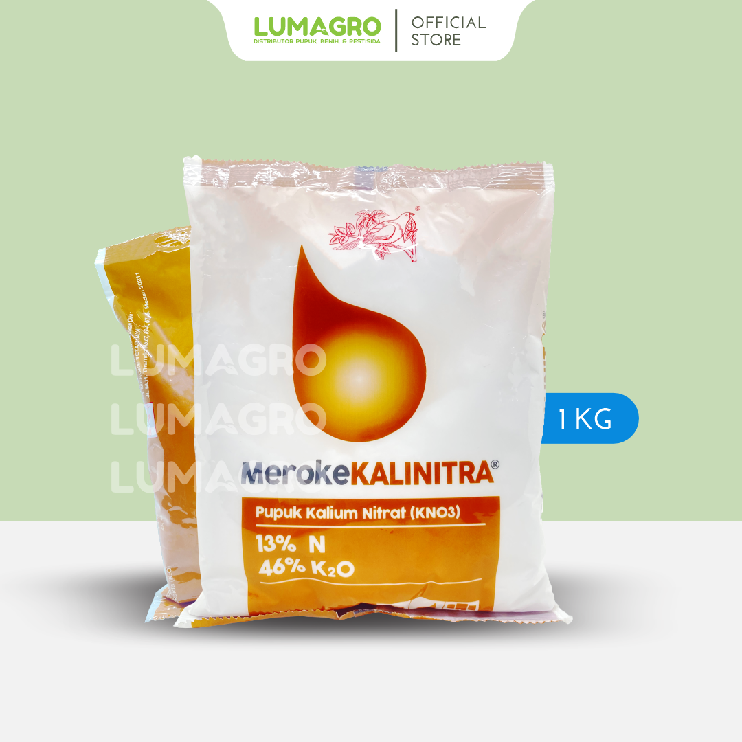 Pupuk Meroke Kalinitra 1kg Kalium Tinggi Nutrisi Pada Tanaman | Lazada ...