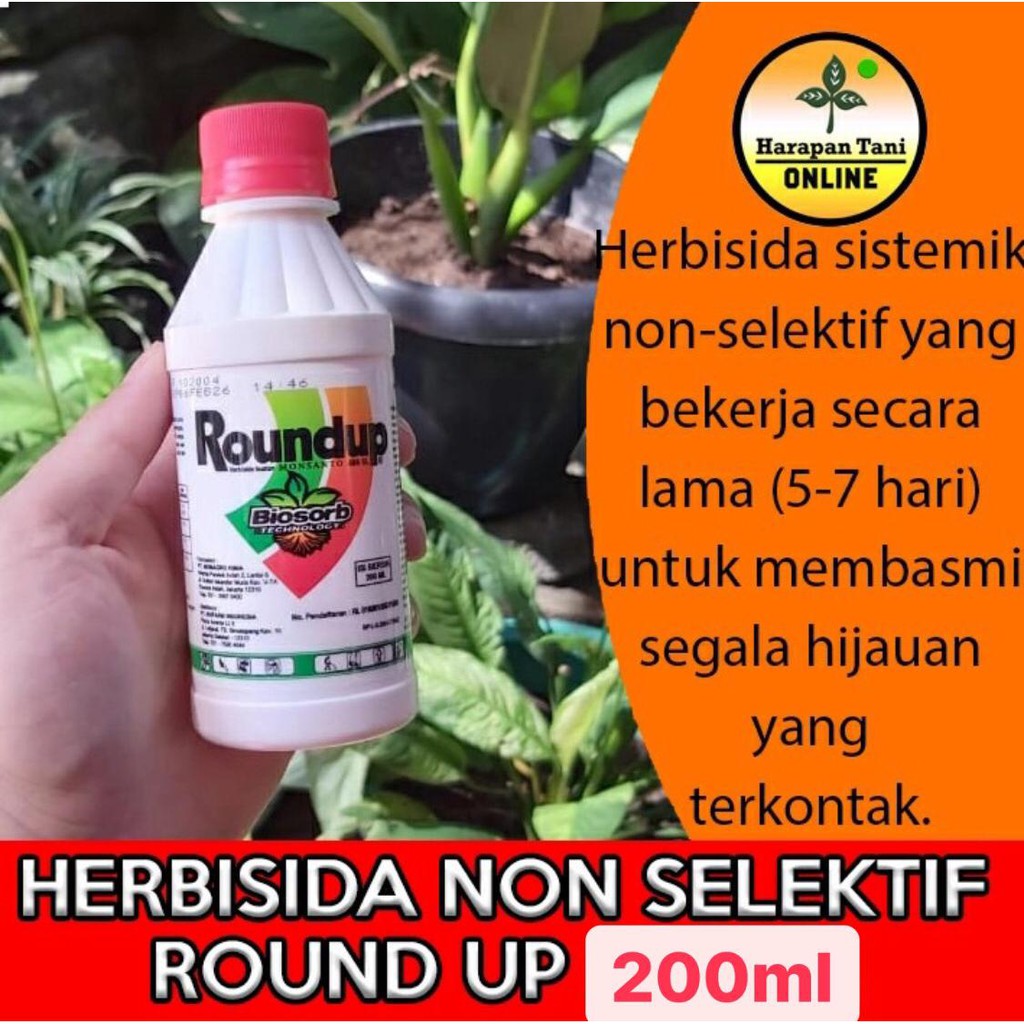 Roundup 200mL | Herbisida Sistemik Non-Selektif | Membasmi Gulma Daun ...