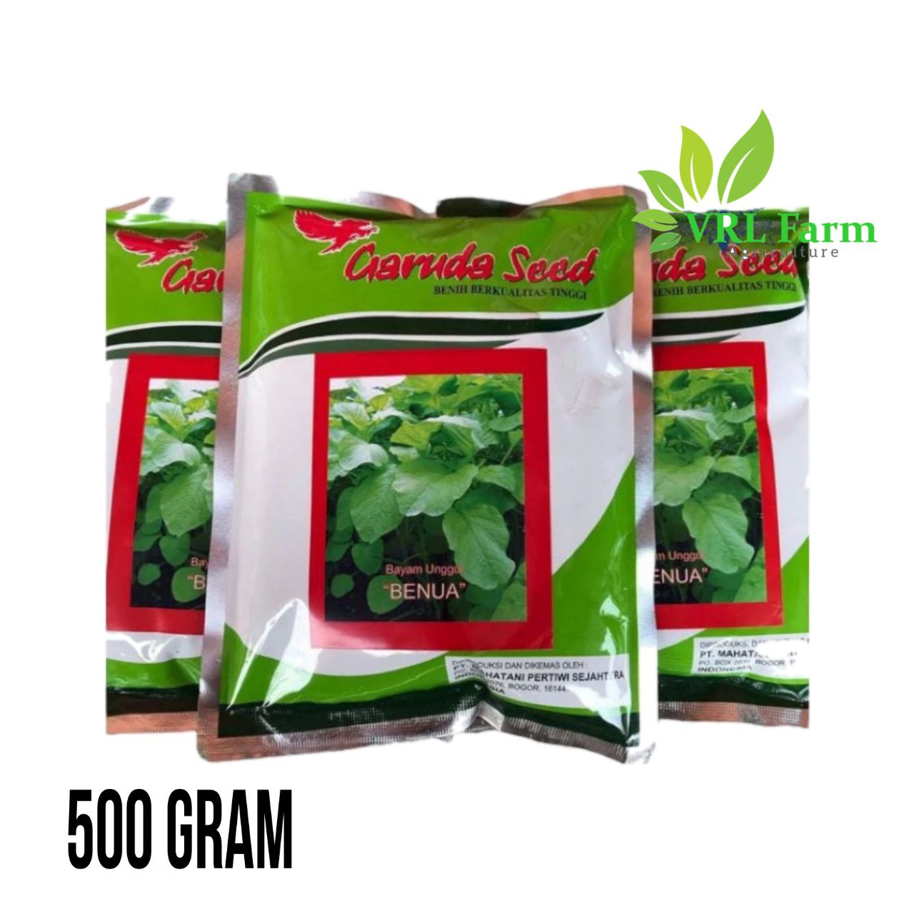 TERMURAH BENIH BAYAM "BENUA" 500 GRAM ASLI 100% ORIGINAL KEMASAN PABRIK ...