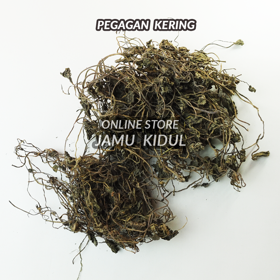 Daun Pegagan 100 gr atau Pegagang Kering Asli Liar | Lazada Indonesia