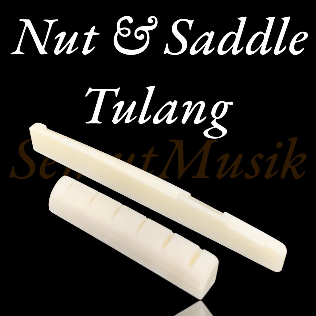 Nut Gitar Akustik Tulang - Shaped Bone Nut Acoustic Guitar | Lazada ...