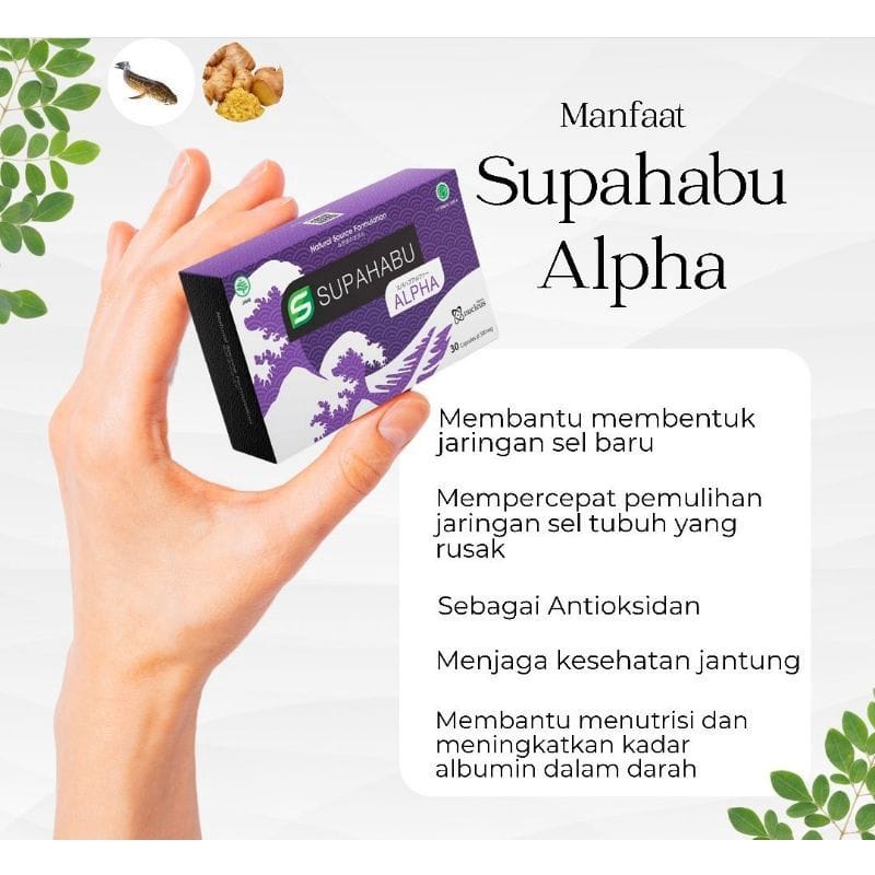 SUPAHABU ALPHA 1 Strip isi 6 kapsul original | Lazada Indonesia