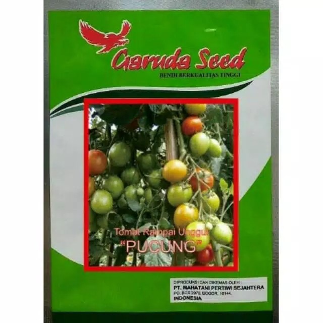 5gr - Benih Bibit Tomat Sayur Pucung F1 Garuda Seed | Lazada Indonesia