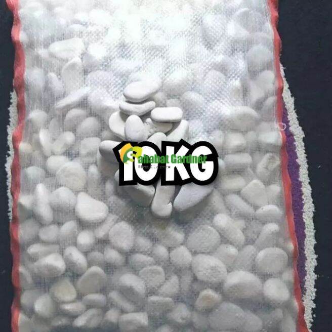 1 Karung Full Batu koral Putih Besar Berat 10 kg | Lazada Indonesia