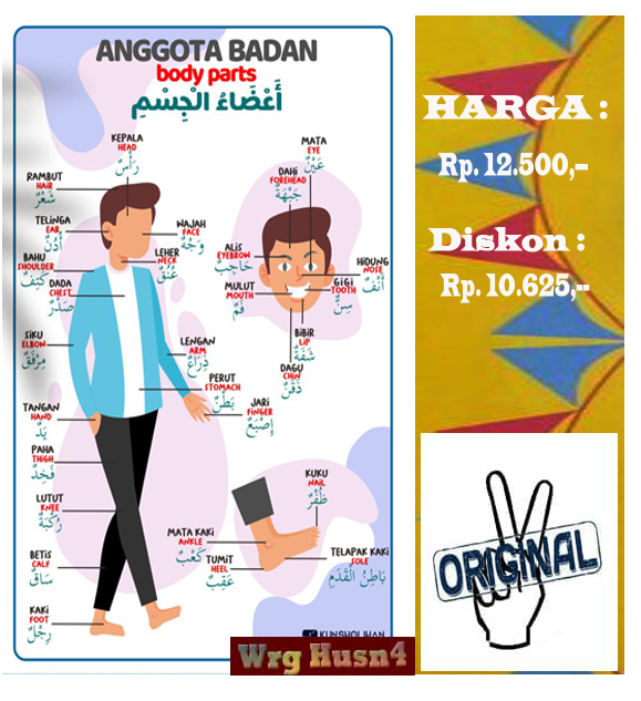 Poster Anggota Badan Body Parts Indonesia Arab Inggris | Lazada Indonesia