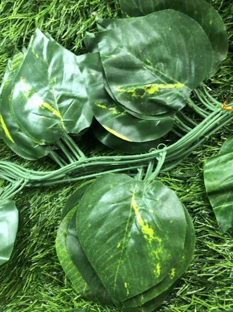 Daun Rambat Srigading Besar / Daun artificial / DA24/lusin | Lazada ...