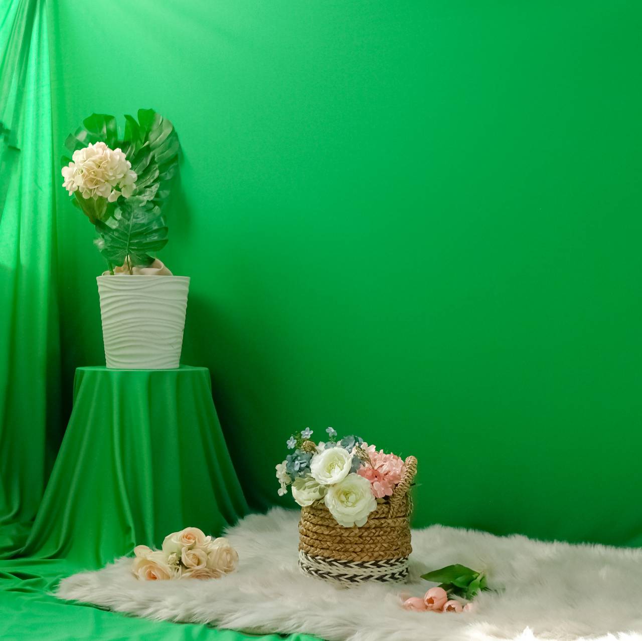 KAIN BACKDROP BACKGROUND DEKORASI DECOR POLOS LAYAR FOTO LATAR HIJAU ...