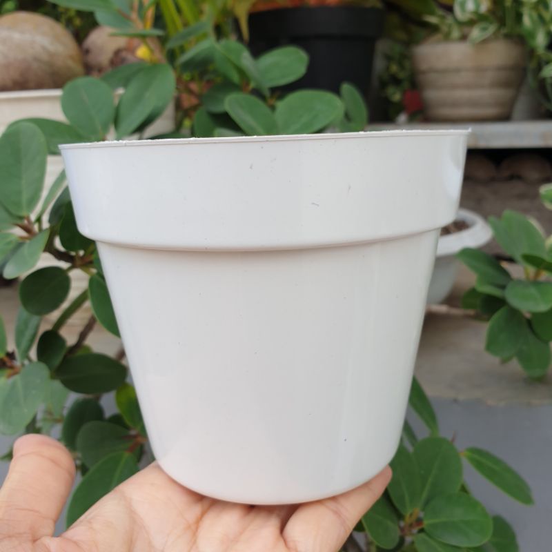 (1pc) MDN BASIC 12 (12cm) : pot bunga biasa pot murah bagus tebal pot ...