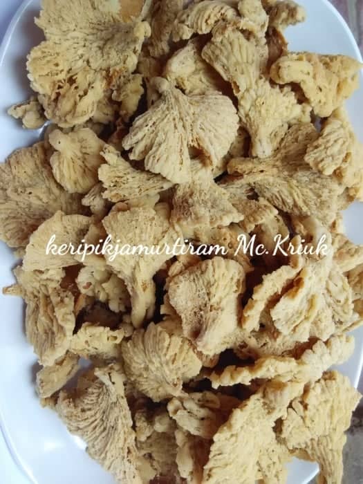 Keripik Jamur Tiram Crispy Banyak Rasa BIKIN NAGIH Kemasan 100gr SIO ...