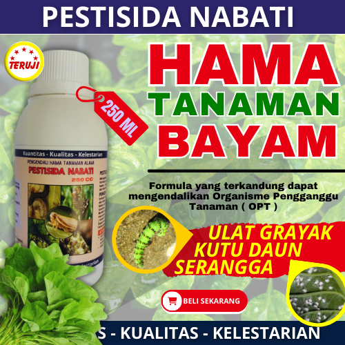Pestisida Nabati Hama Daun Bayam Obat Ulat Grayak Bayam Obat Semprot ...