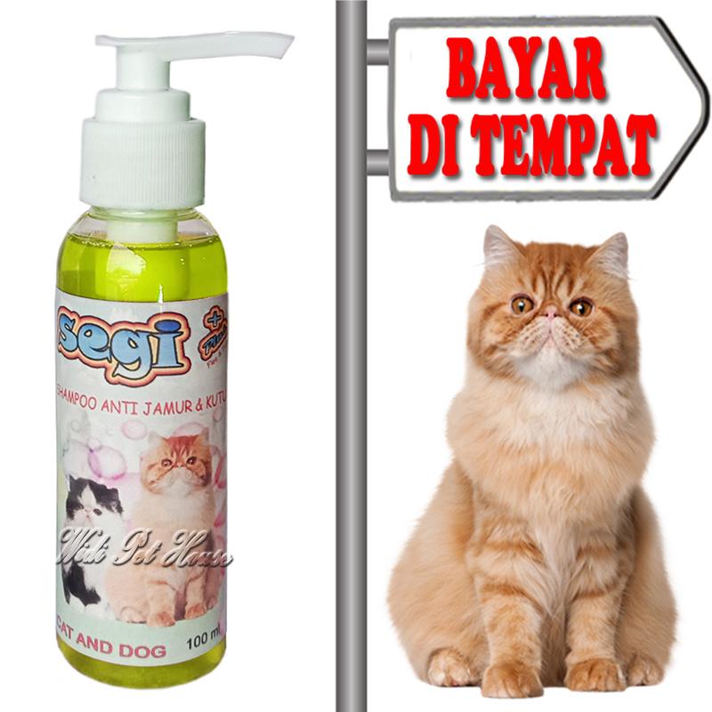 SAMPO KUTU KUCING SHAMPOO JAMUR ANJING SEGI PLUS LEMON 100 ML | Lazada ...
