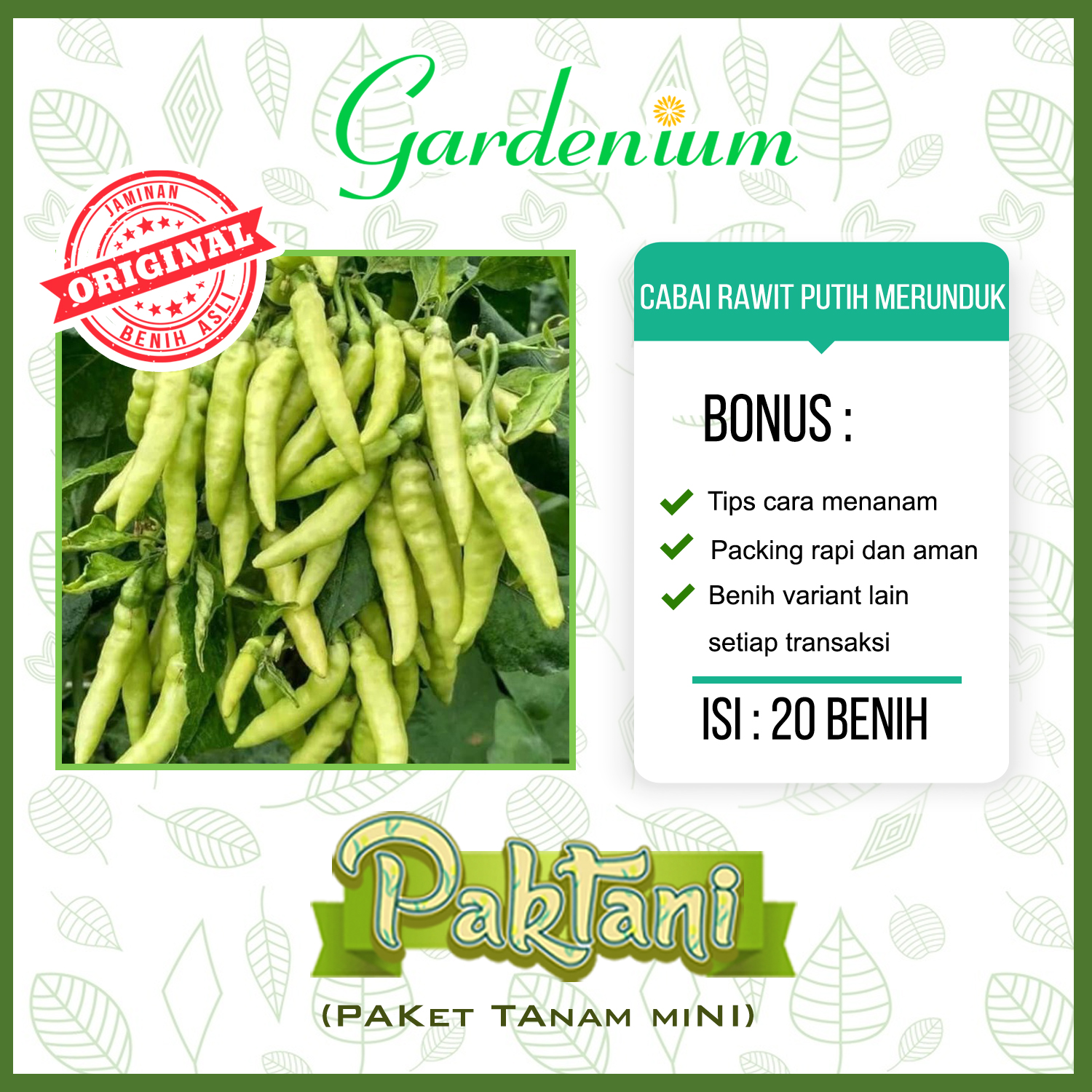 20 Benih Cabe Rawit Putih Merunduk Cabai Unggul Paktani | Lazada Indonesia