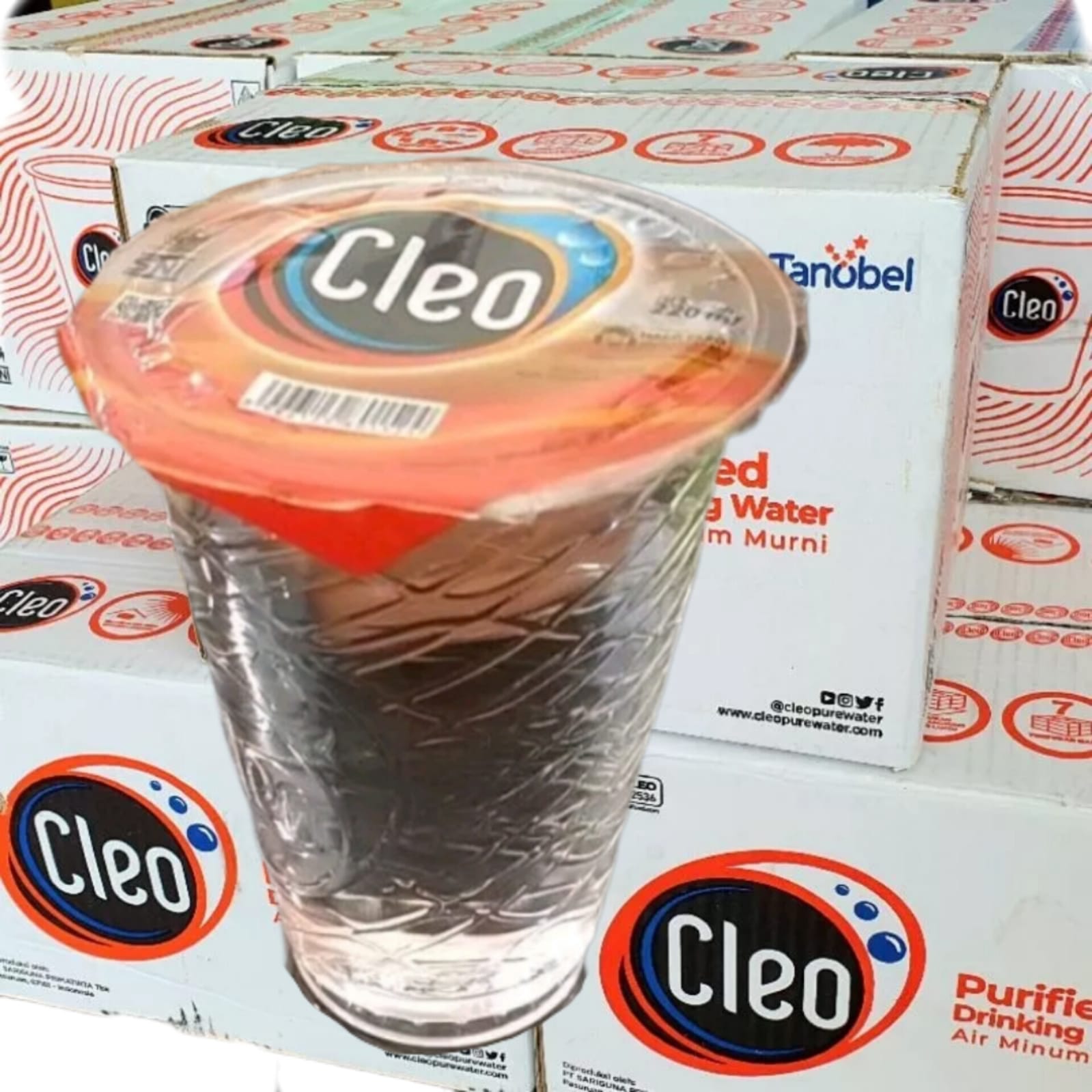 Cleo Cup Mineral Cup 220ml Sekarton | Lazada Indonesia