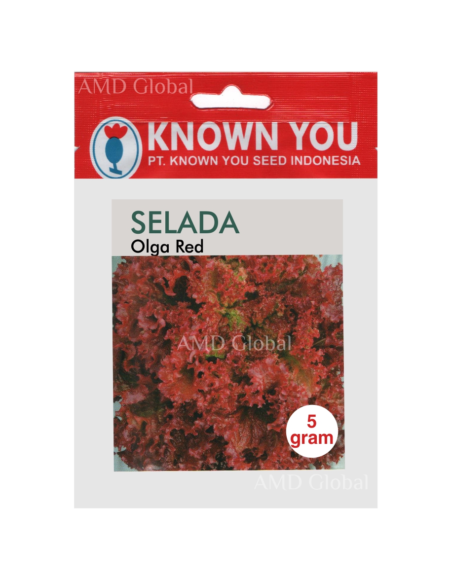 Benih Selada Keriting Merah Olga Red Lolorosa Known You Seed | Lazada Indonesia