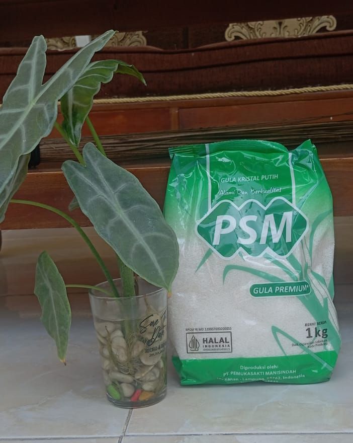 Gula Pasir Merek PSM 1 Kg | Lazada Indonesia