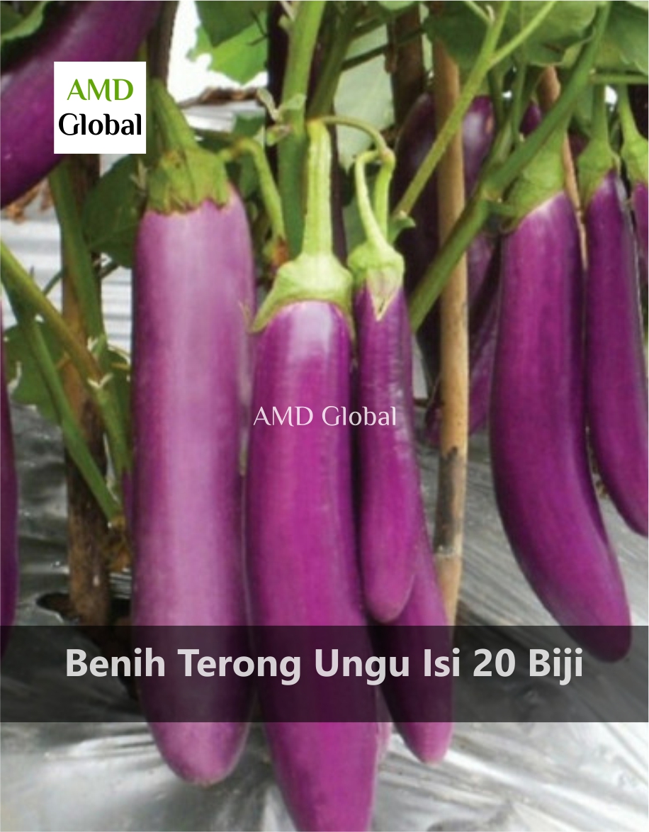 Benih Eceran Terong Ungu Panjang Cap Panah Merah / Bintang Asia | Lazada Indonesia