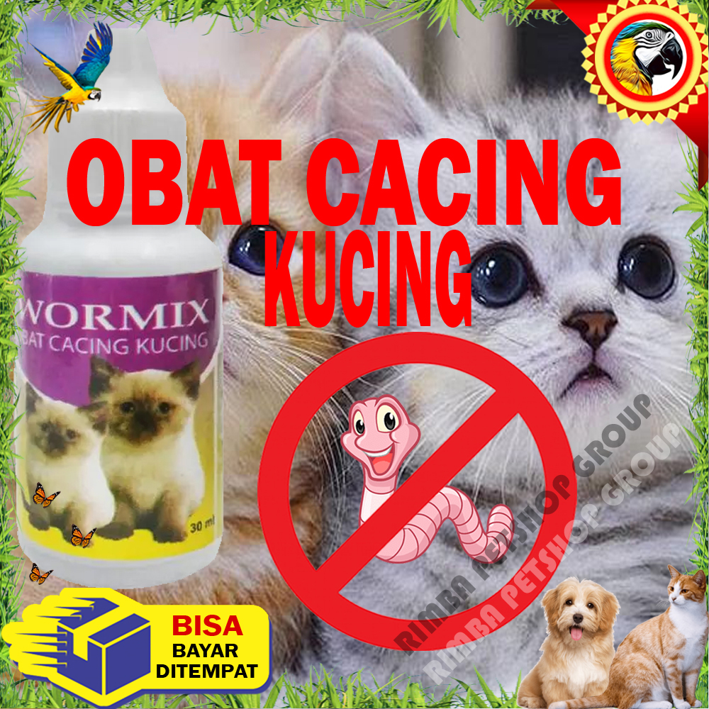 Obat Cacing Kucing Sakit Cacingan Kucing Dewasa / Obat Cacing Anak ...