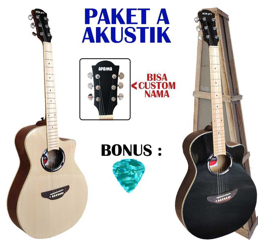 gitar akustik elektrik APX500 custom paket lengkap free packing kayu ...