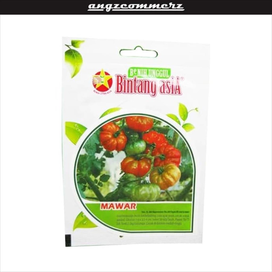 BINTANG ASIA Tomat Mawar 125 Seeds | Lazada Indonesia