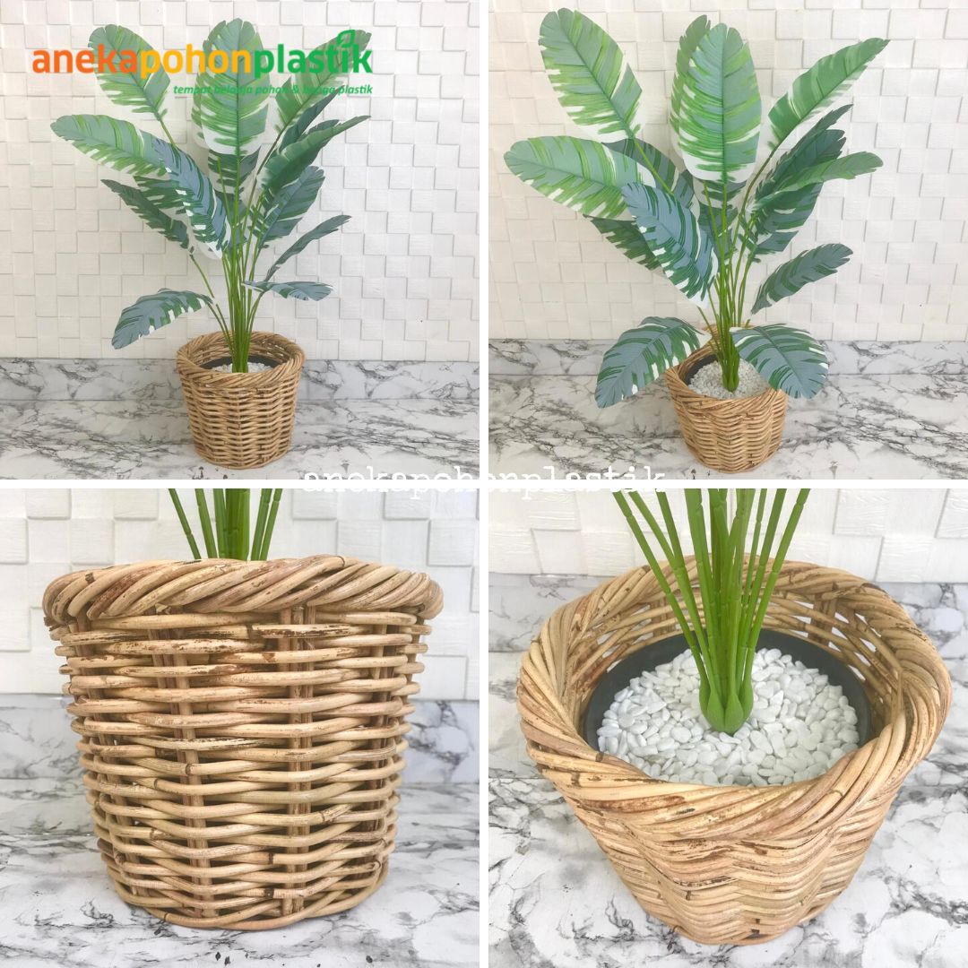 Pohon Artificial Pohon Plastik Daun Musa Florida X18 Semi Latex Cover ...