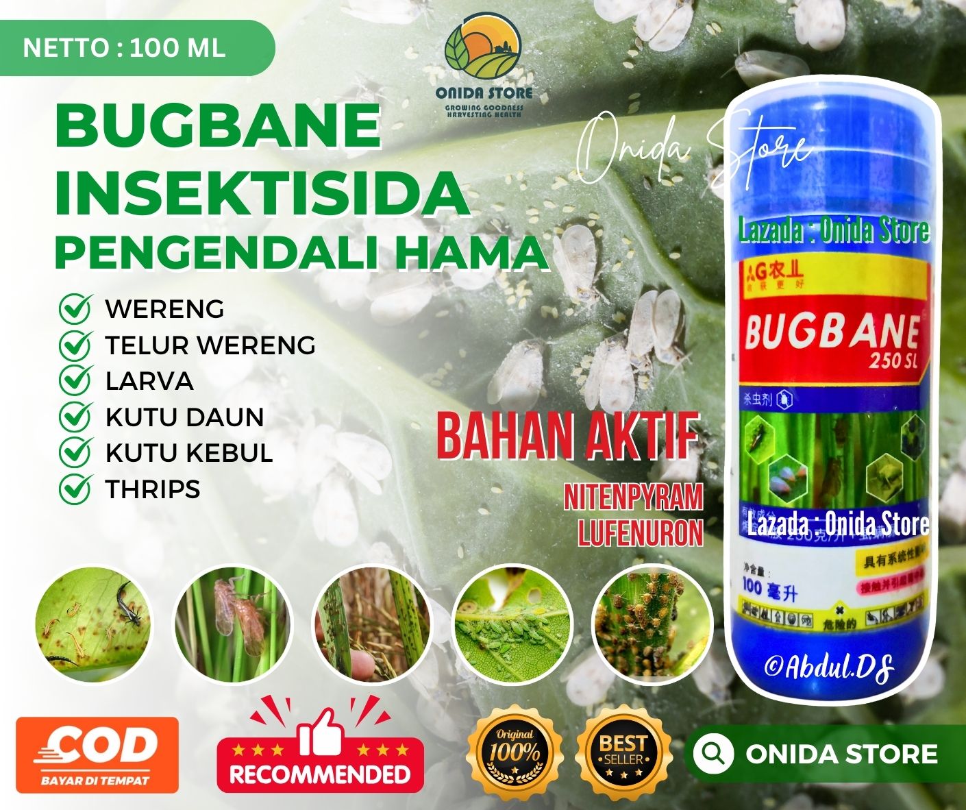 INSEKTISIDA BUGBANE Ahlinya Atasi Hama Wereng, Sundep, Ulat Penggerek ...