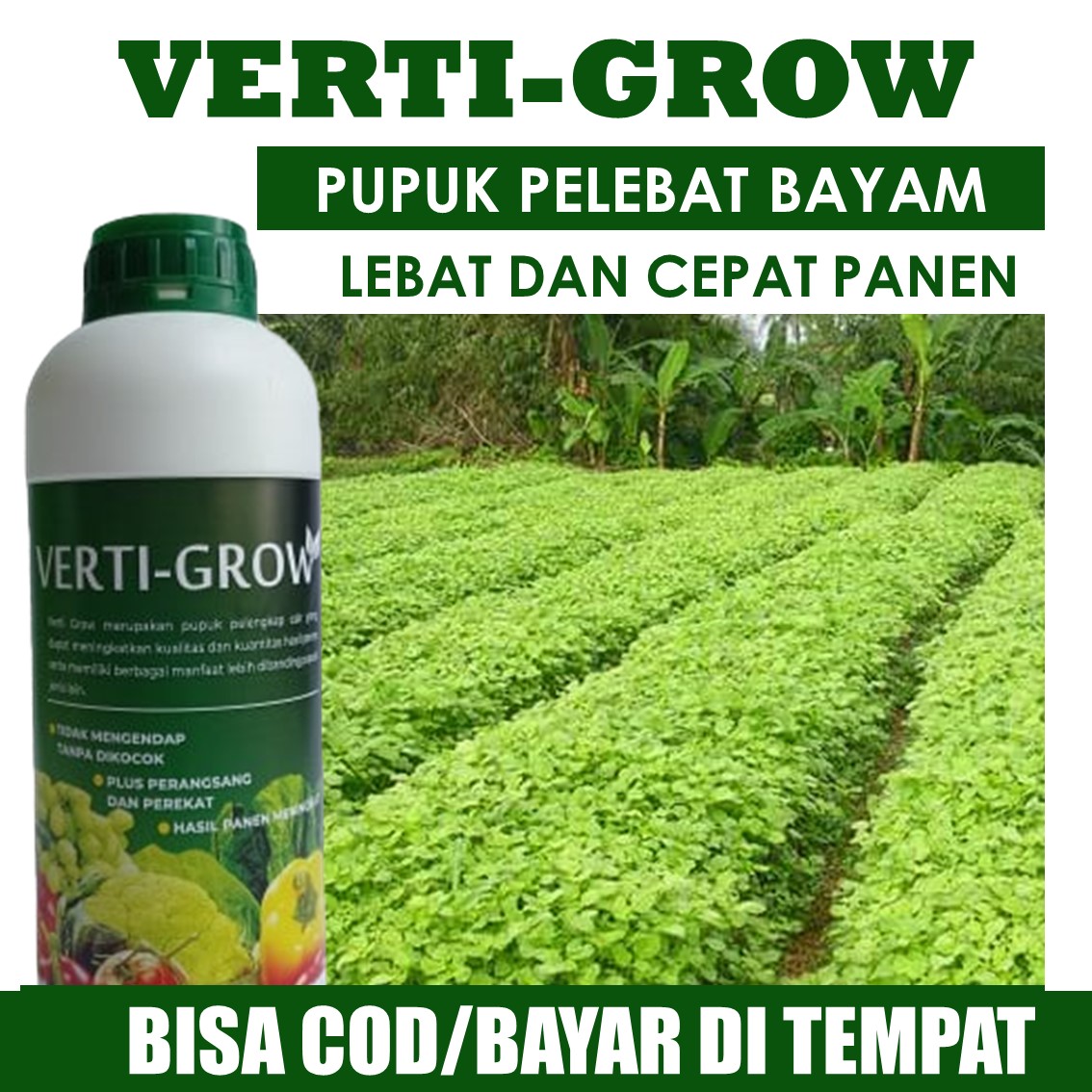 (COD AMAN) Pupuk NPK Cair Pelebat Bayam/Daun Bayam/Tanaman Bayam Tanpa ...