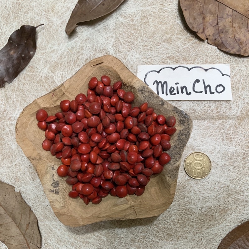(100gr/350biji) Kerajinan Kolase Biji Saga Merah Hitam Saga Telik Jali ...
