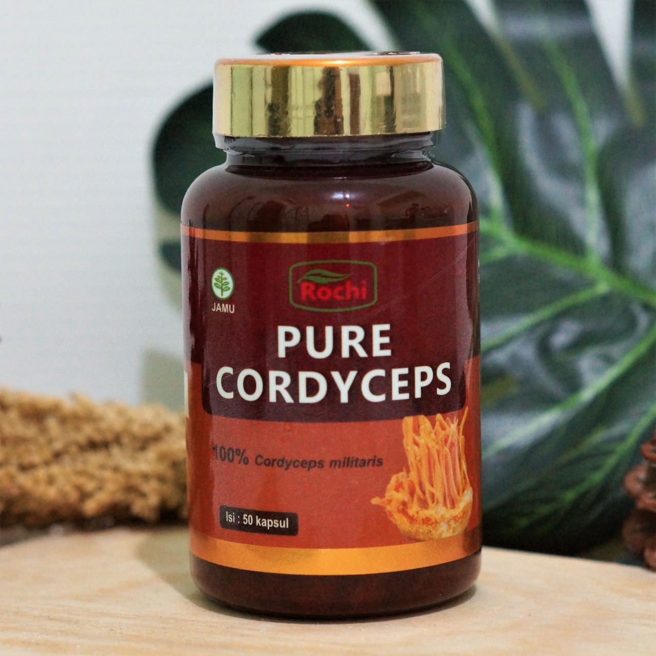 PURE CORDYCEPS, TABLET UNTUK PENYAKIT PARU-PARU, PERNAFASAN, TERMURAH ...