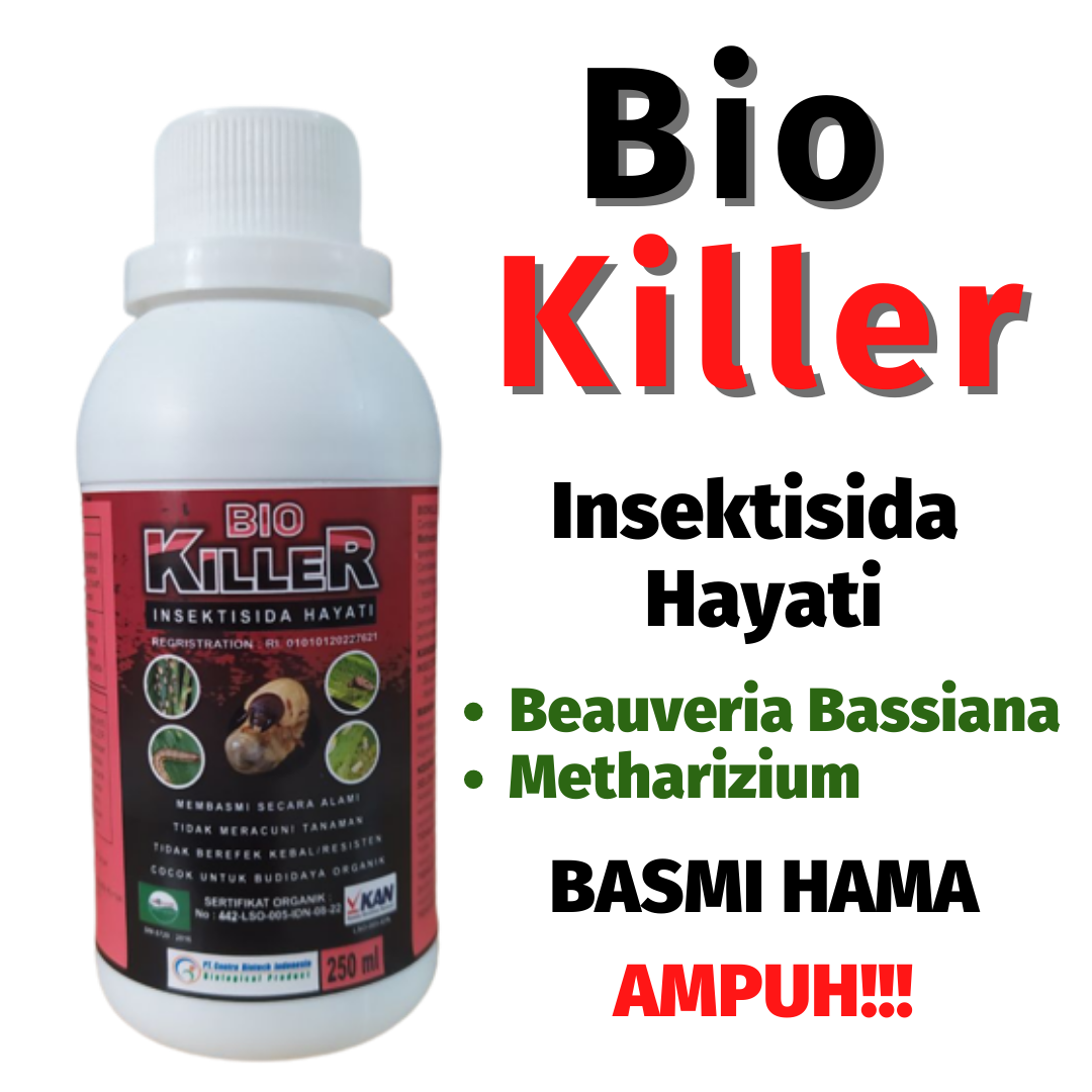 insektisida hayati obat hama wereng padi, Bio Killer pengendalian hama ...