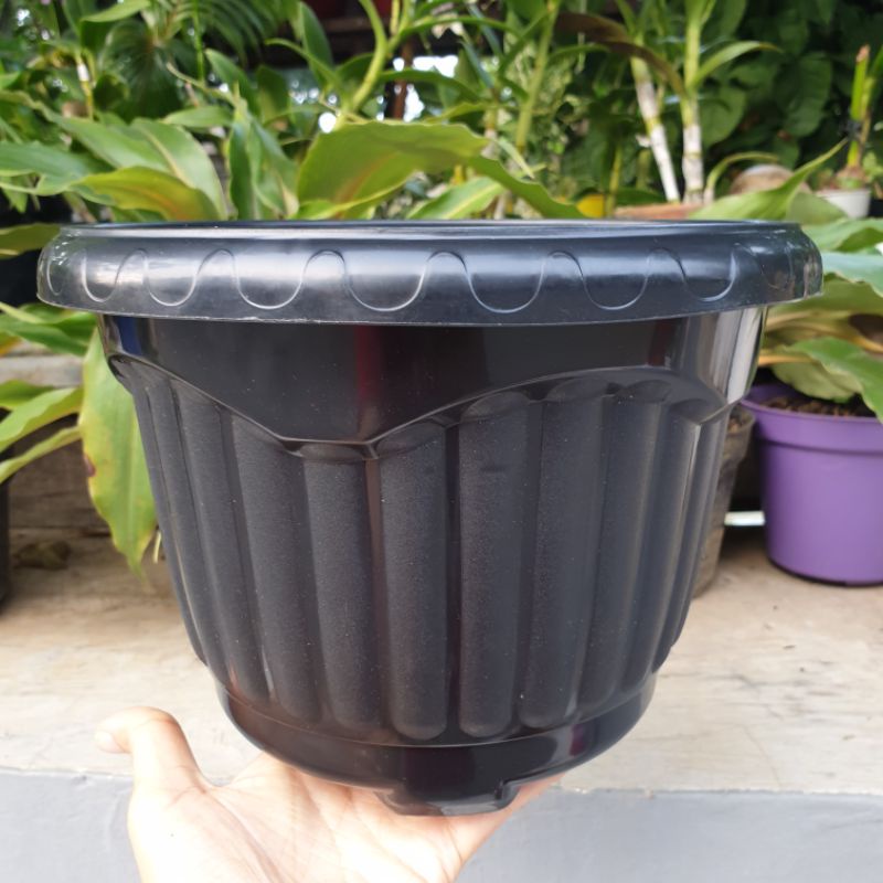 (1pc) SHALLOM MIO 25 (23,5cm) : pot bunga plastik tebal murah motif ...