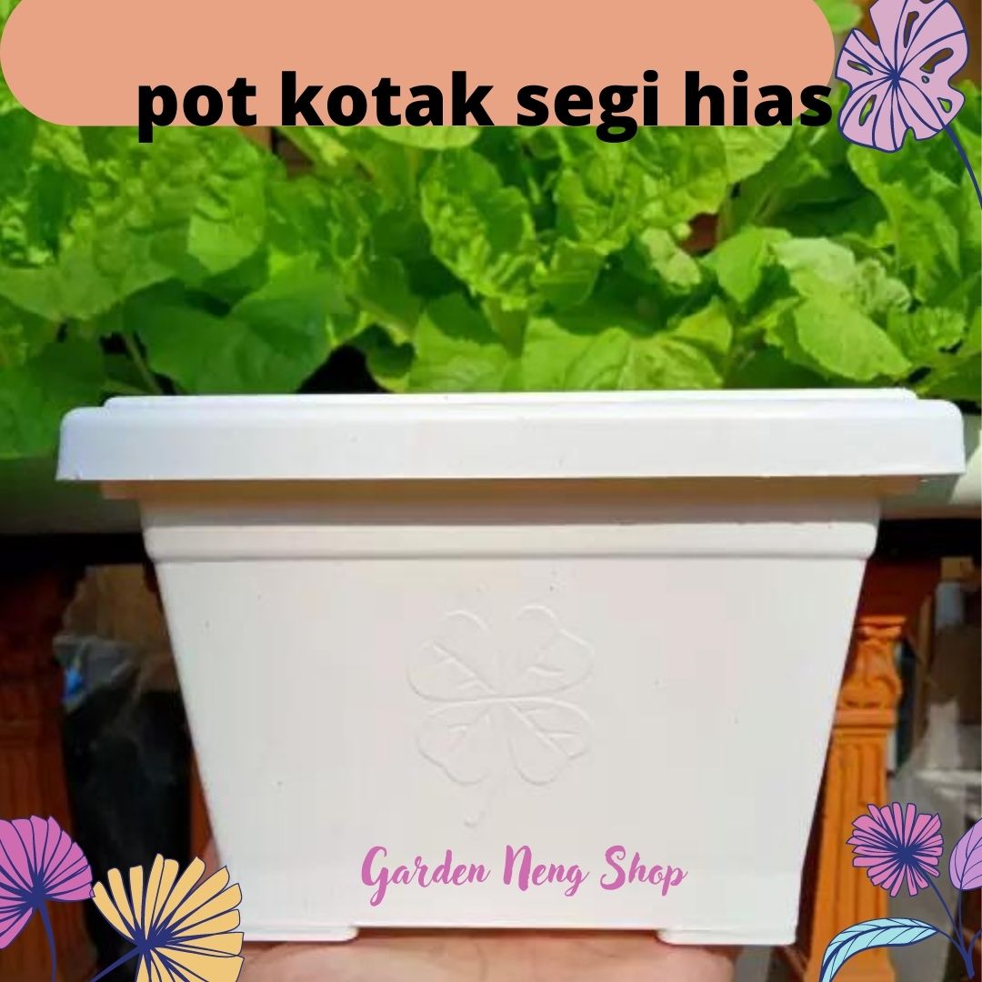 Pot Kotak Segi Hias SP20 (14cm) Pot Putih Segi Kotak | Lazada Indonesia