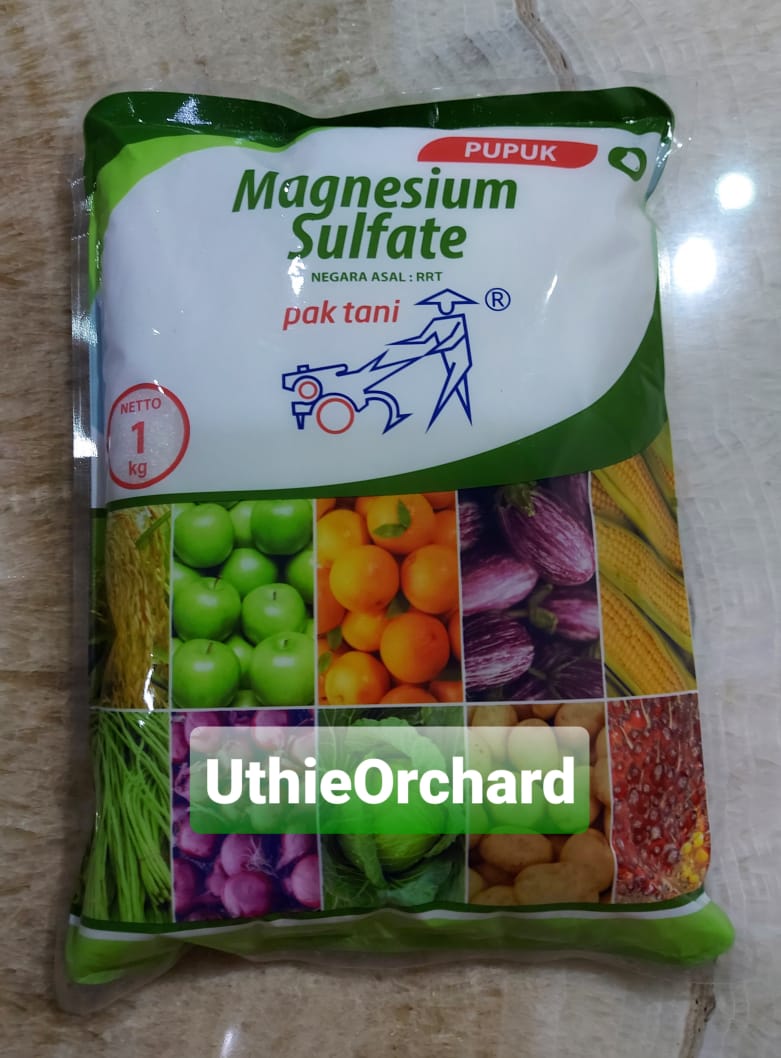 Pak Tani Pupuk Magnesium Sulfate Kristal Kemasan Pabrik 1 kg | Lazada ...