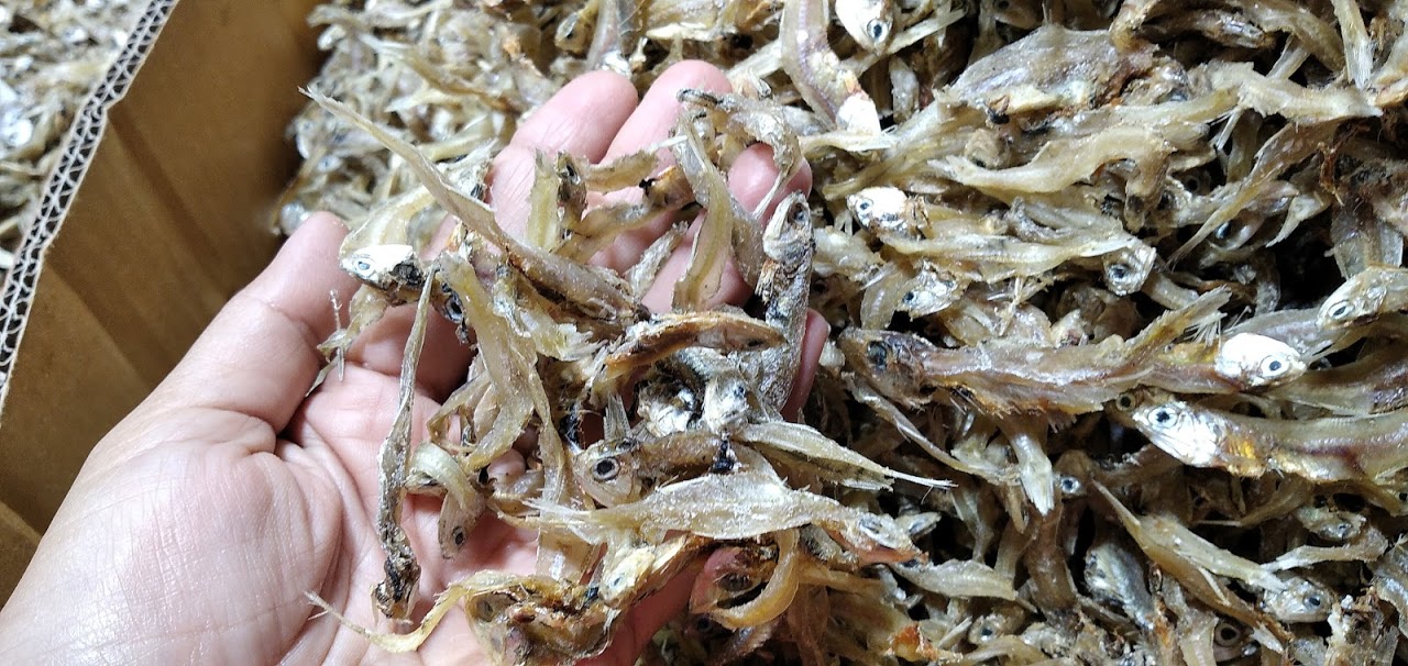 IKAN TERI TAWAR BUNGA KHAS MEDAN ENAK DAN BERGIZI 100 GRAM-BISA COD ...