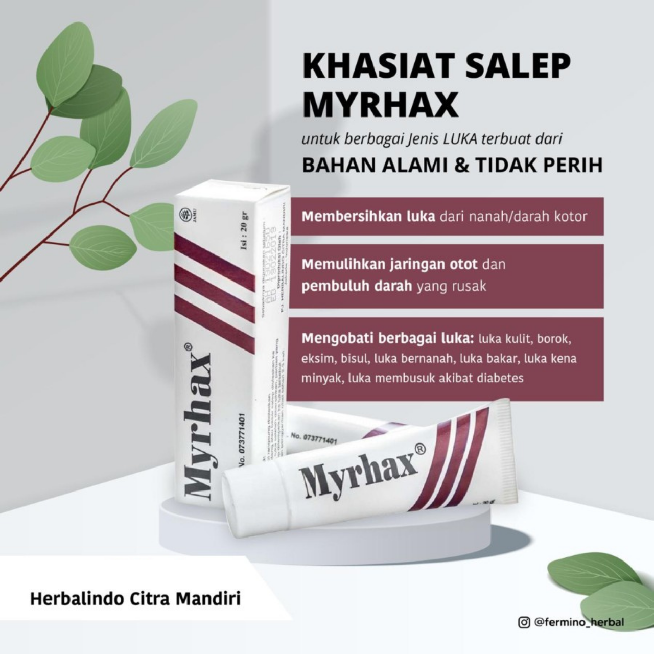 Myrhax Salep Luka Bakar – Bisul – Luka Diabetes 20 GR | Lazada Indonesia