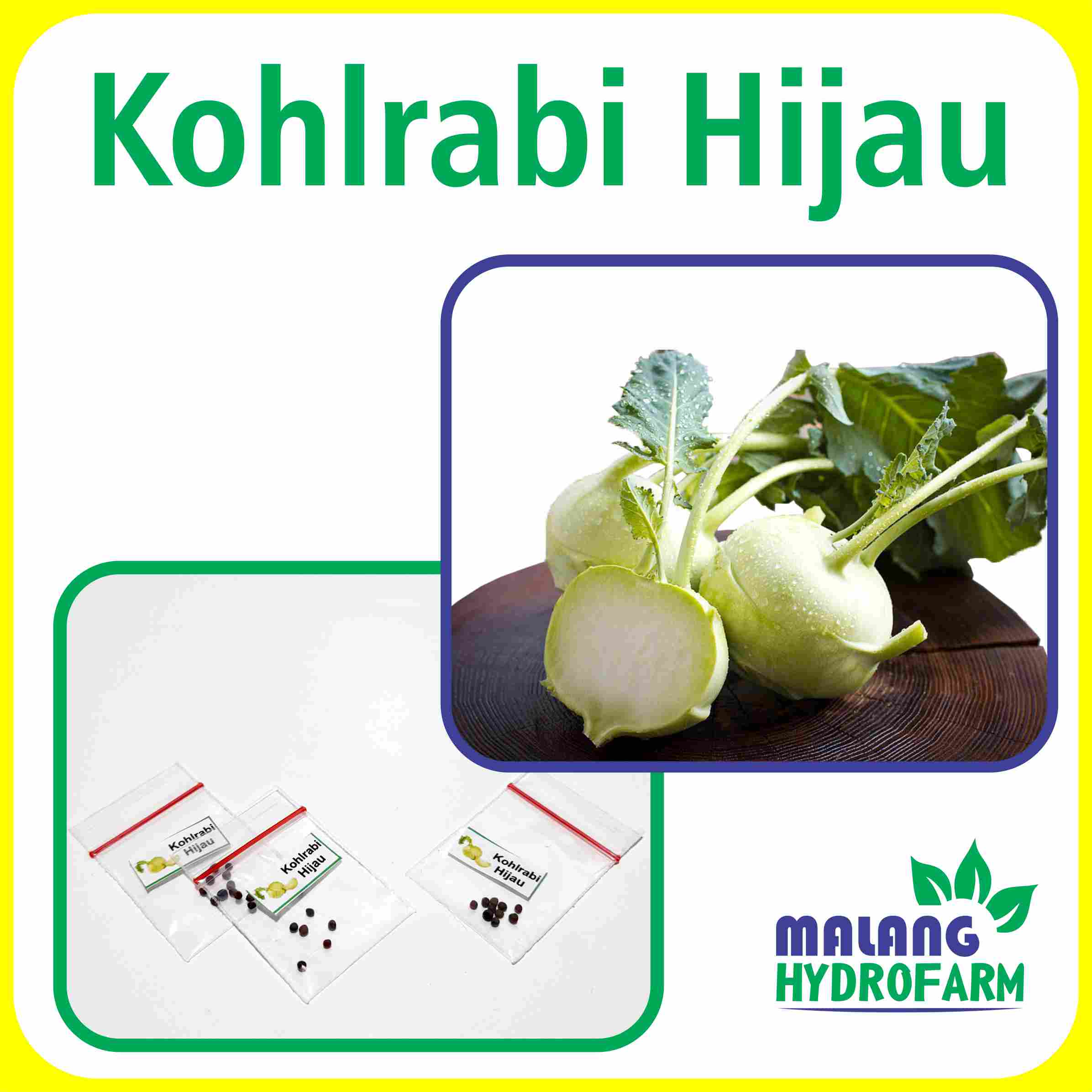 Benih Kohlrabi Hijau Unggulan Berkualitas biji bibit repack kol kubis hydroponik hidroponik ...