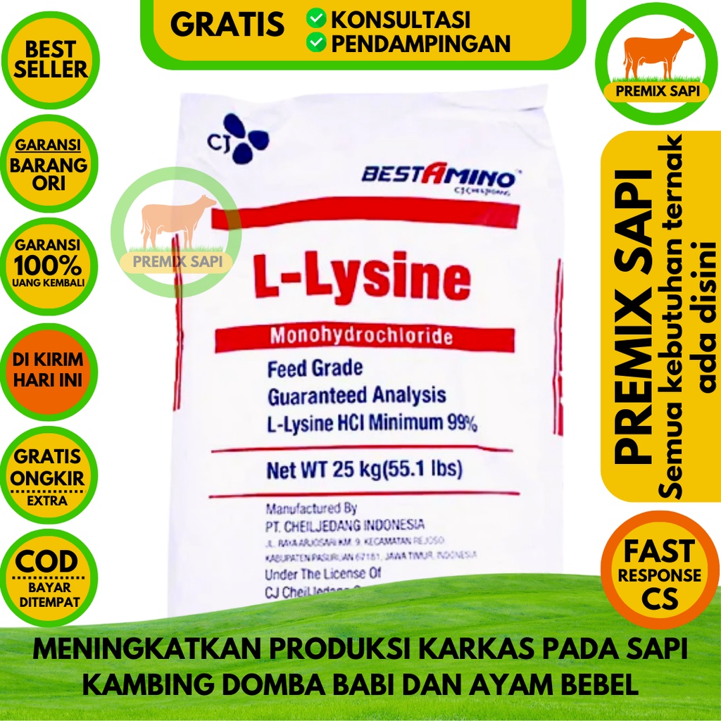 L LYSINE 1 KG - LISIN - LYSIN - LISINE - LEUSIN - SUPLEMEN VITAMIN ...