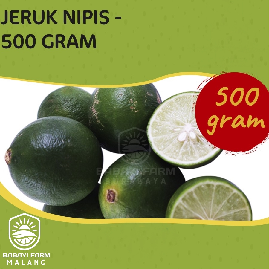 Jeruk Nipis Pecel Segar / 250 500 gr 1 kg | Lazada Indonesia