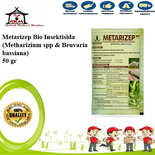 Metarizep - Bio Insektisida (Metharizium spp & Beuvaria bassiana ...