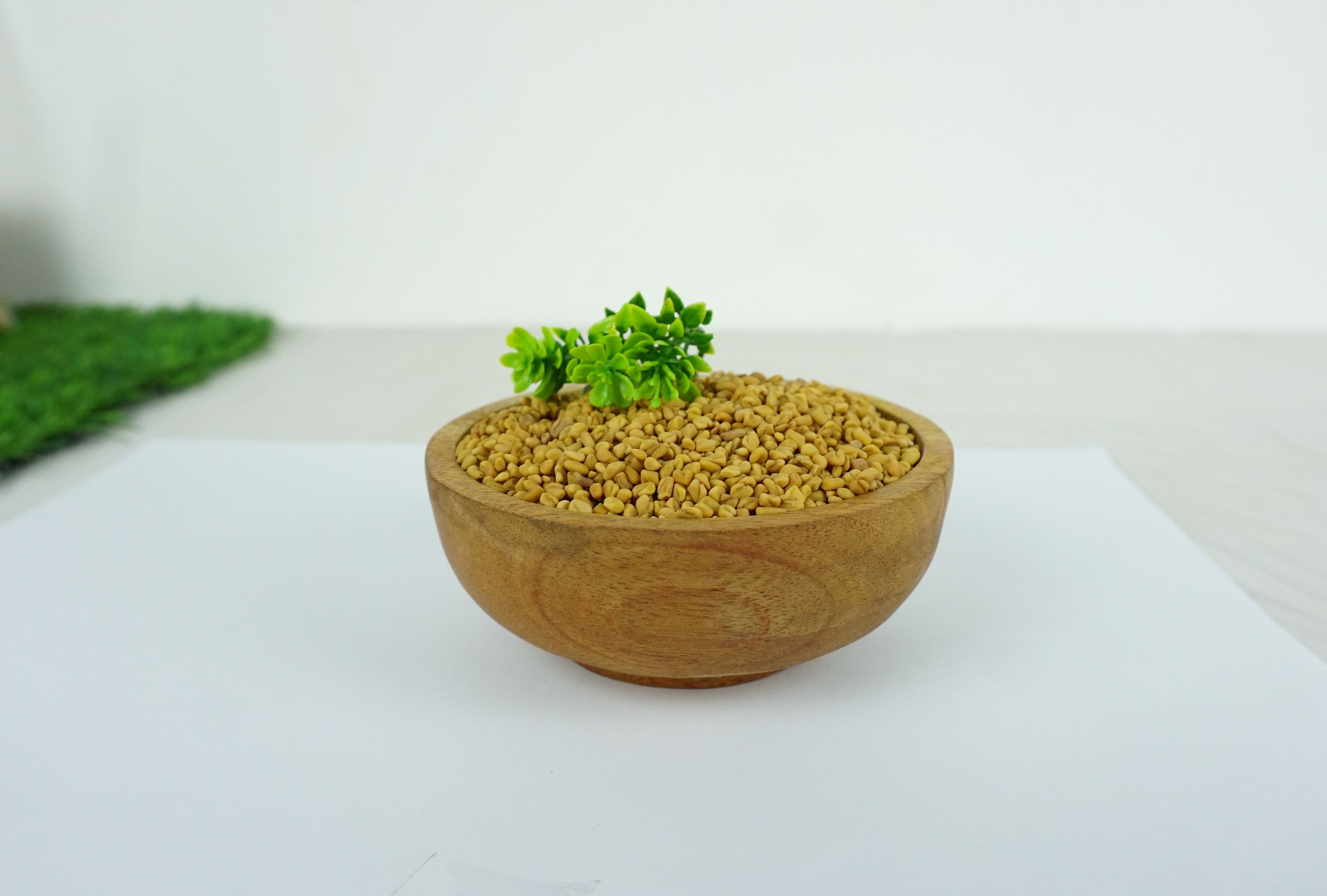 Biji Klabet Kelabat 1 Kg Asli / Hulbah Halba Promil | Lazada Indonesia