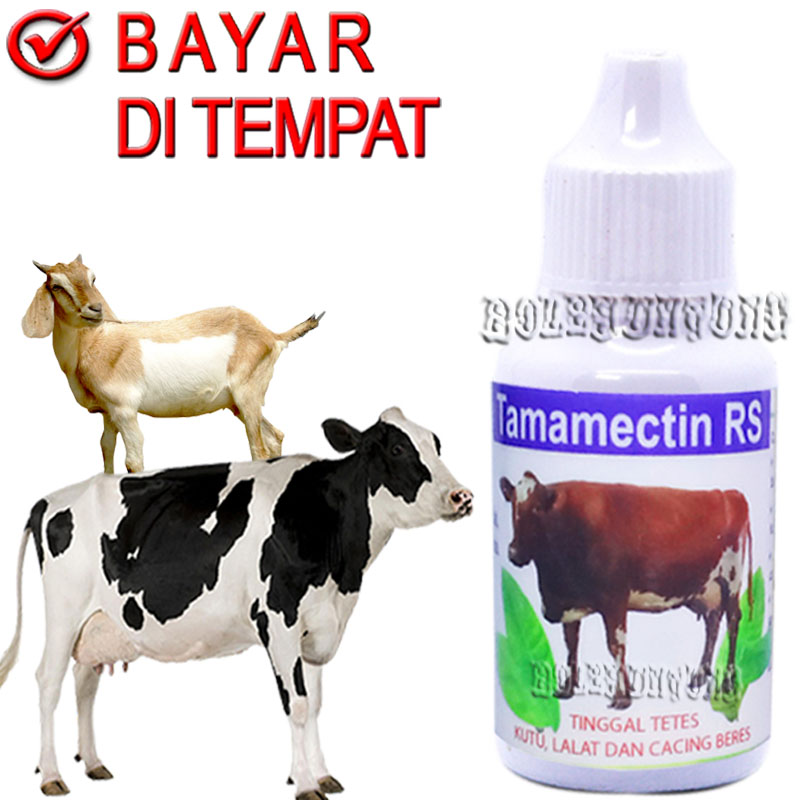TAMAMECTIN RS Obat Kutu Tetes sapi Kambing Kuda Basmi Parasit Serangga ...