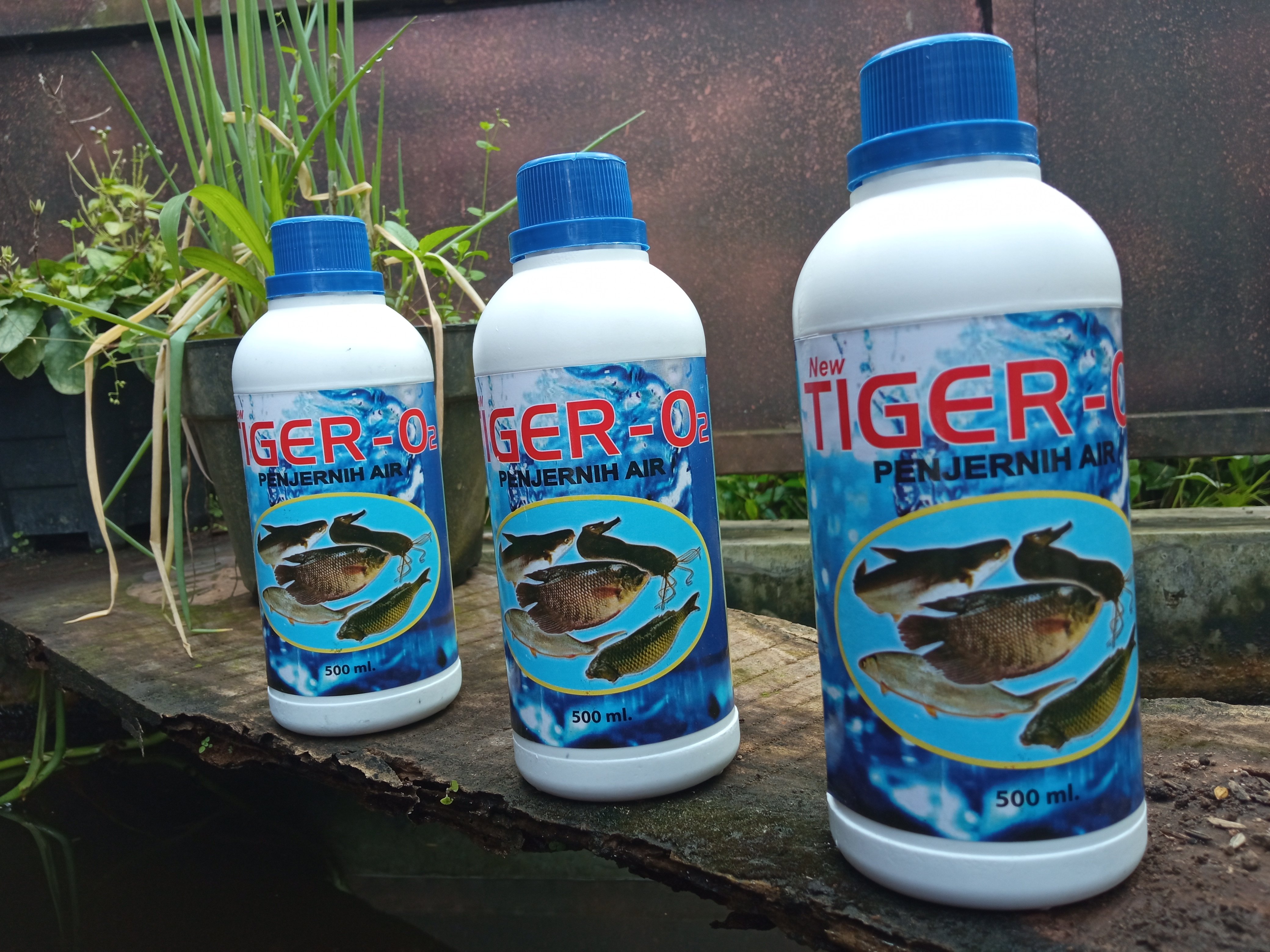 Tiger 02 Obat Penjernih Air Kolam Aquarium 500 ml | Lazada Indonesia