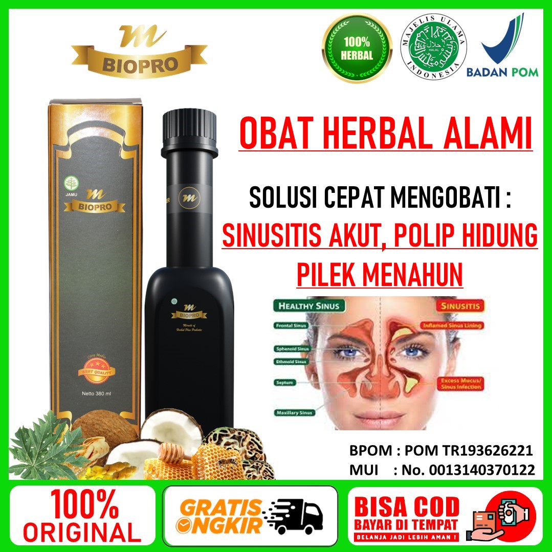 M Biopro Mbiopro Asli Original Herbal Obat Sinusitis Paling Ampuh Obat ...