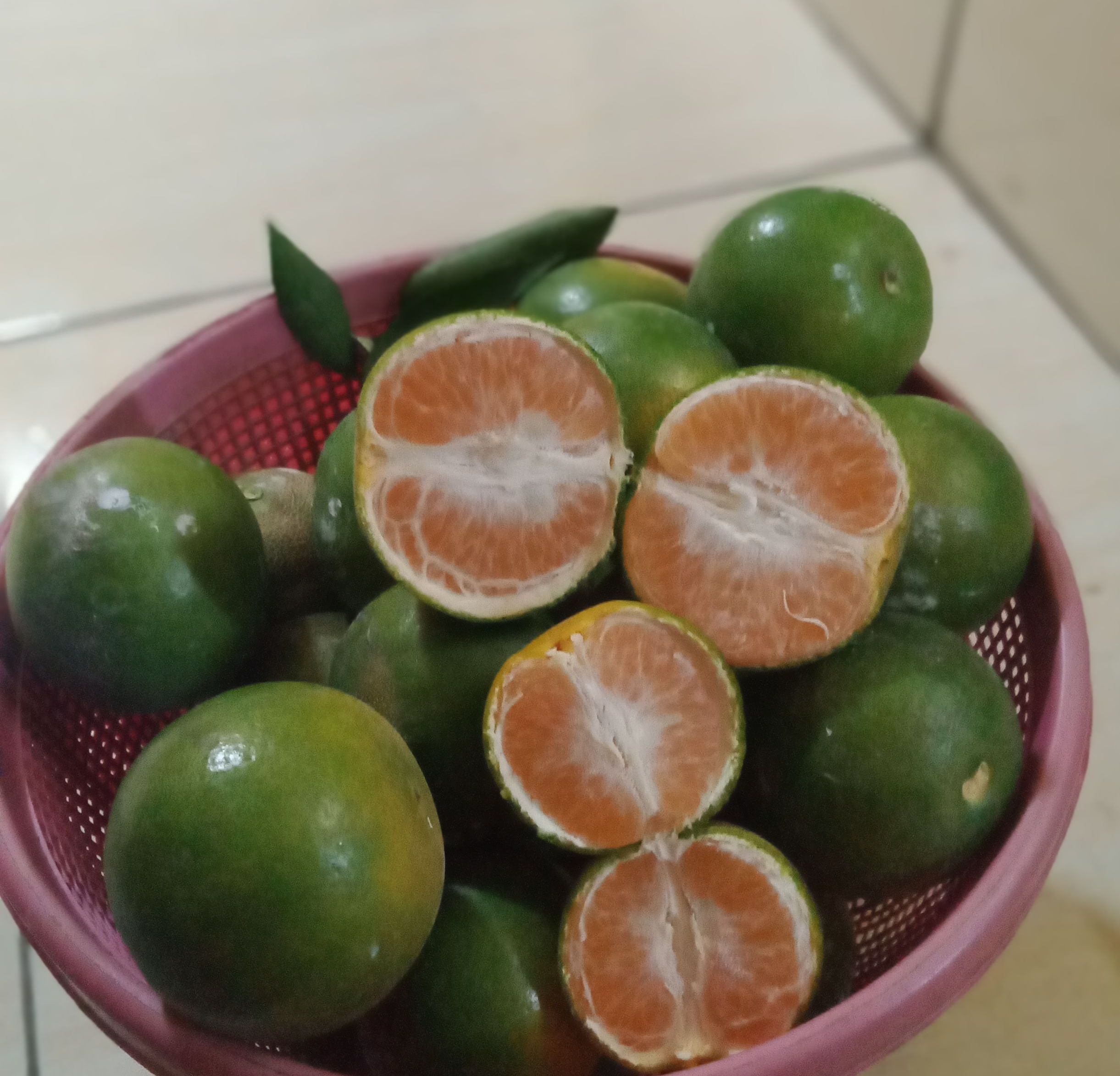 paket buah jeruk manis cokun .isi 2kg,manis dan segar,, | Lazada Indonesia