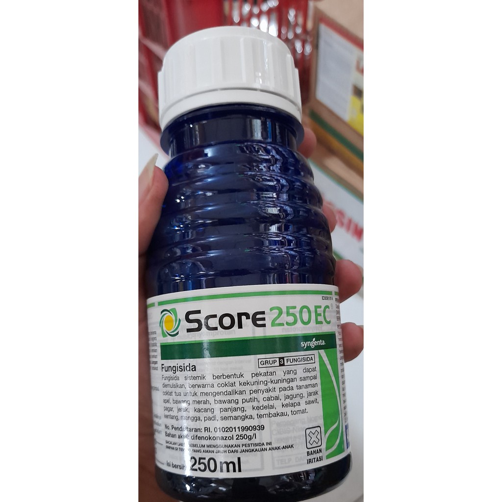 Score 250 EC 250ml Obat Pembasmi Jamur Tanaman | Fungisida Sistemik ...
