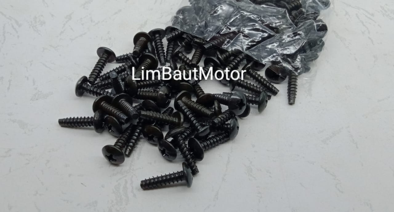 Lim Baut Motor baut cacing ulir body motor matic vario beat 4x16 ...