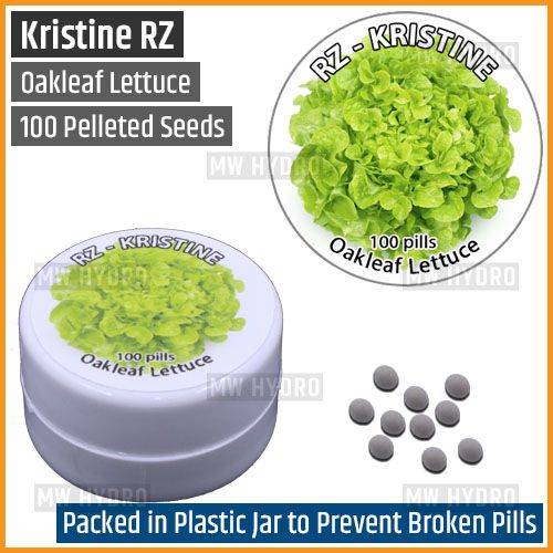 Rijk Zwaan Benih Lettuce Selada Kristine 100 pil | Lazada Indonesia
