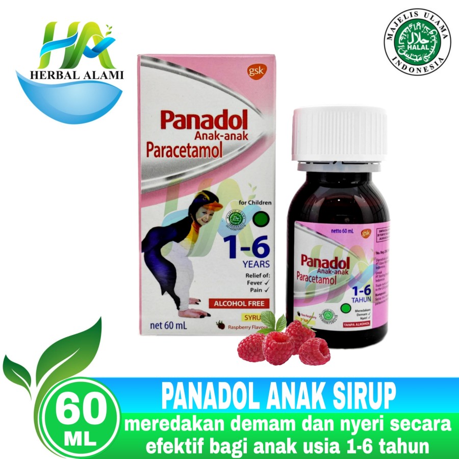 Panadol Anak Anak Paracetamol Syrup Untuk 1- 6 tahun | Lazada Indonesia