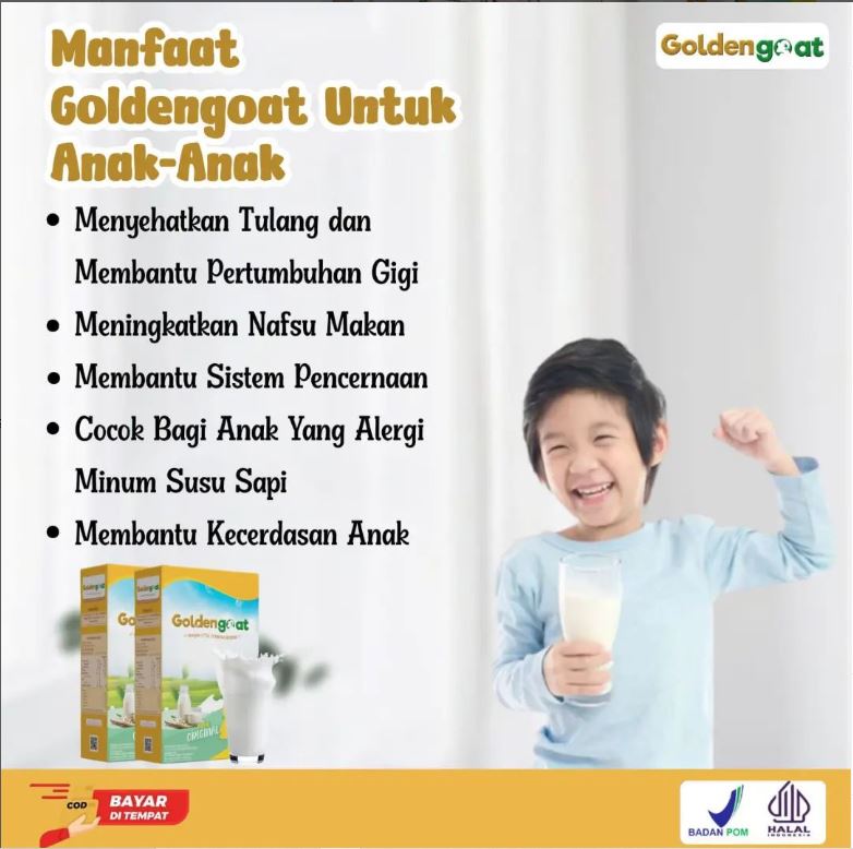 Paket 4 BOKS Goldengoat sudah tersertifikasi BPOM dan halal MUI | Lazada Indonesia