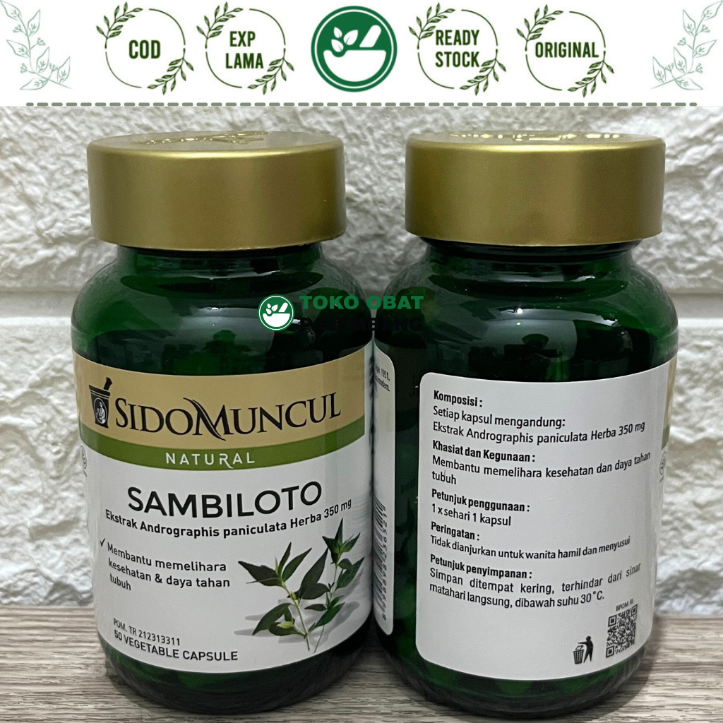 Sidomuncul Sambiloto 50 Kapsul Daun Sambiloto Sido Muncul Andrographis Paniculata Herba 350 Gram